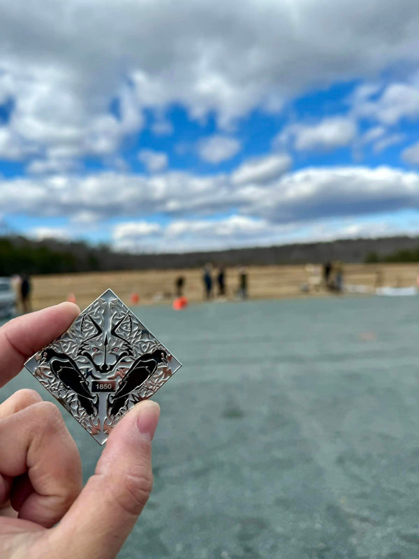 LABYRINTH COIN 2.0 - Rogue Dynamics