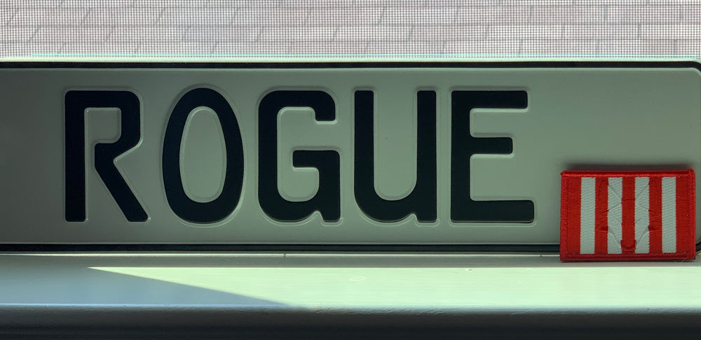 PATCHES Tagged "Morale Patch" - Rogue Dynamics